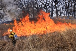 Prairie Restoration Burn at PFC - Friends of Pope Farm Conservancy