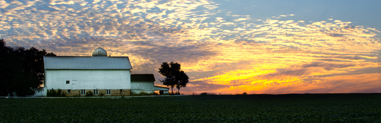 Welcome to Friends of Pope Farm Conservancy - Friends of Pope Farm ...