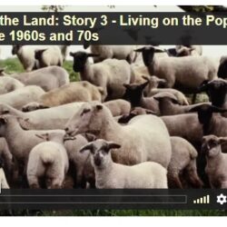 Friends of Pope Farm Conservancy – Preserving the land and its stories