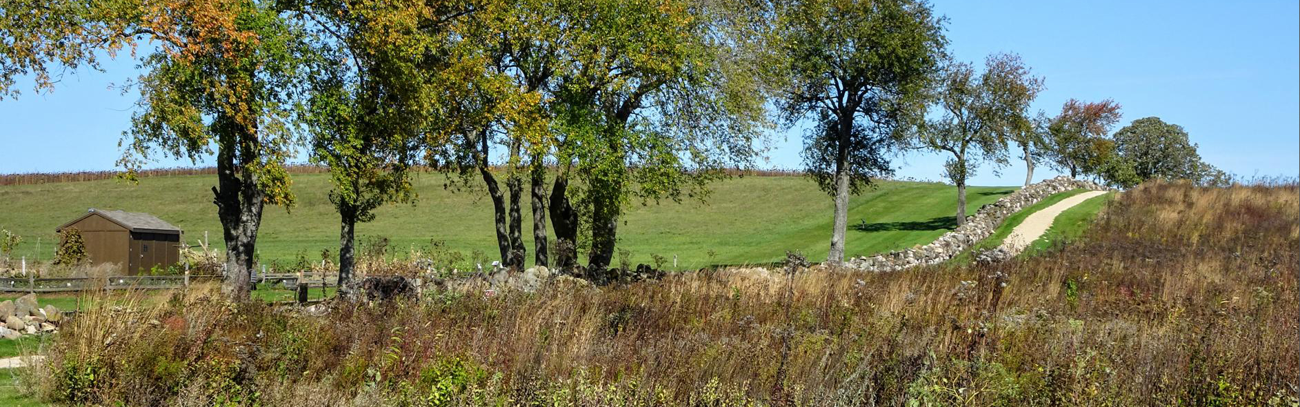 The Prairie in Seed: A Fall Prairie Walking Tour at PFC - Friends of ...